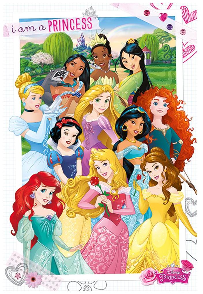Disney Princess Poster 286