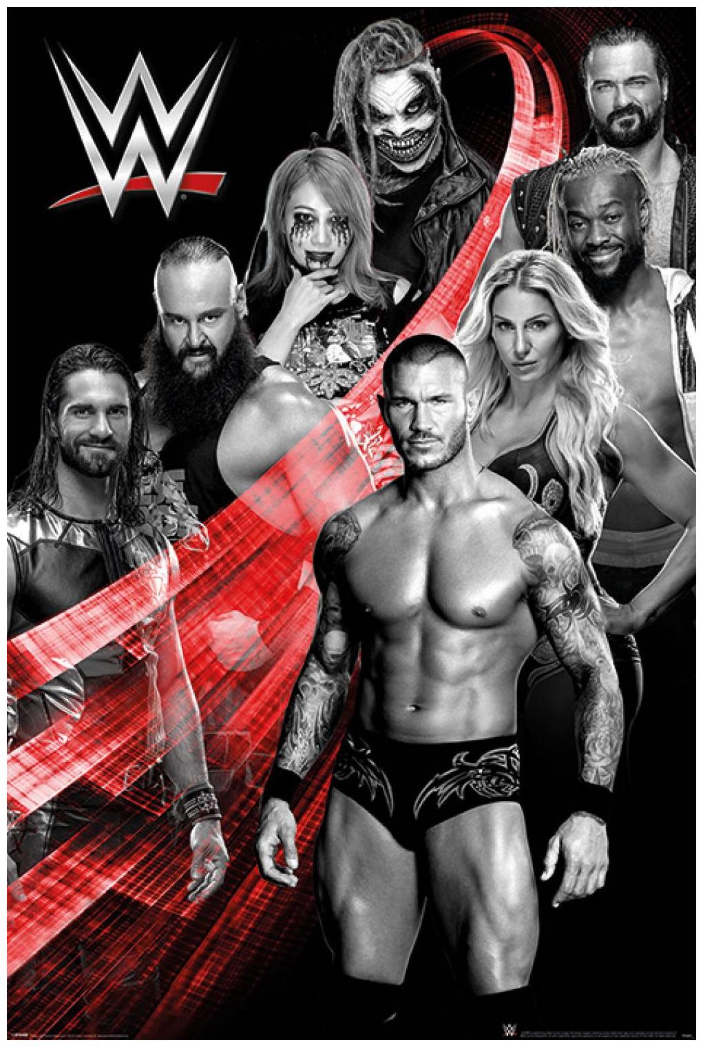 Wwe Poster Superstars 230